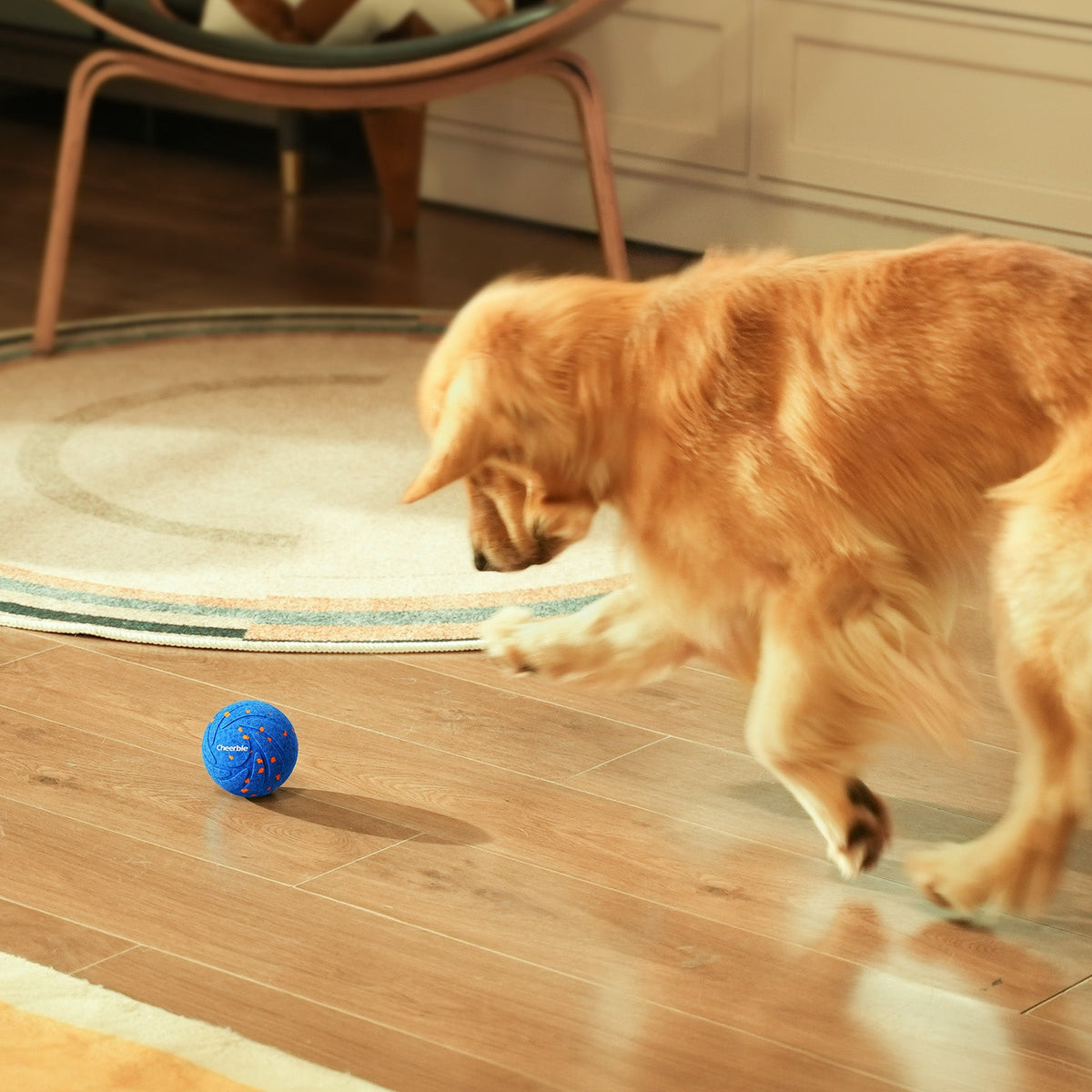 Wicked Ball Air: Smart Dog Toy | Interactive Play