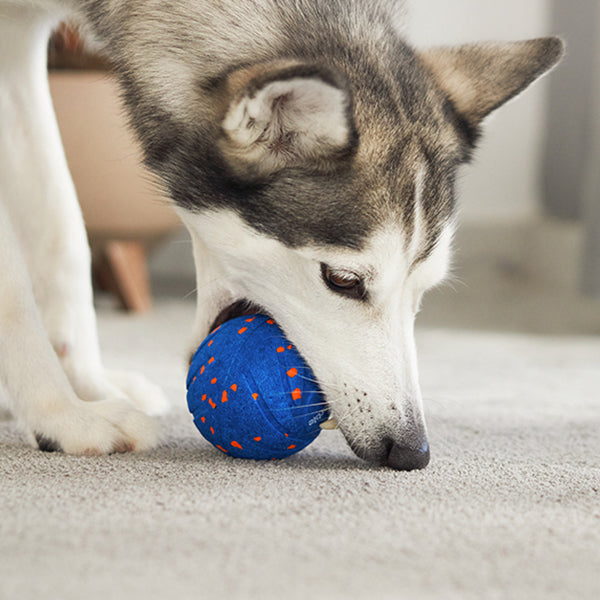 Smart Dog Toys | Cheerble - Interactive Play for Happy Pets