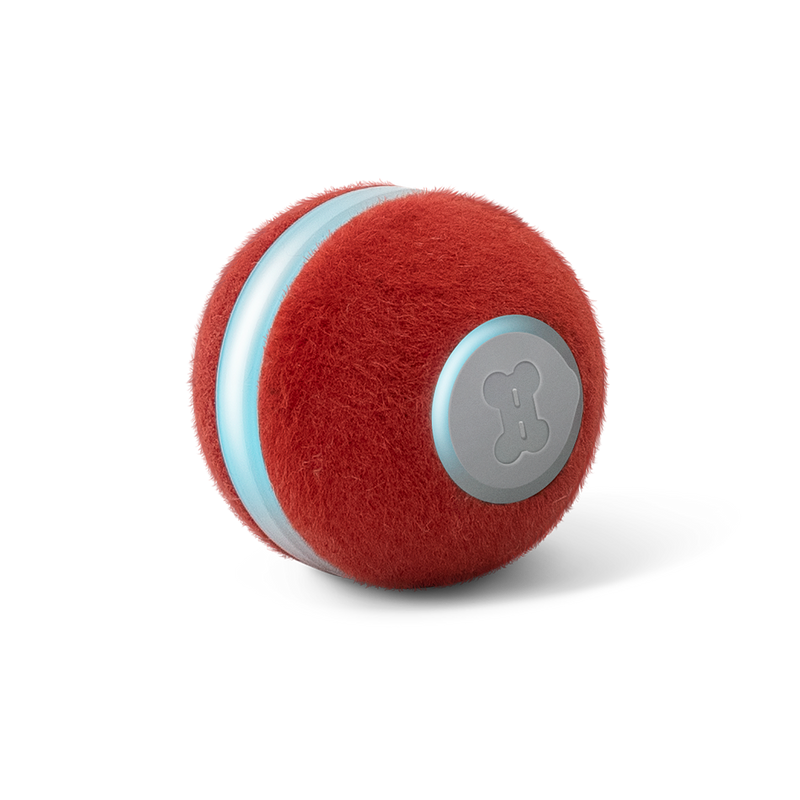 Cheerble Ball | Cheerble - Interactive Smart Ball for Cats