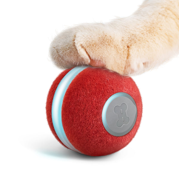 Cheerble Ball: Tiny Smart Ball for Your Cat's Entertainment