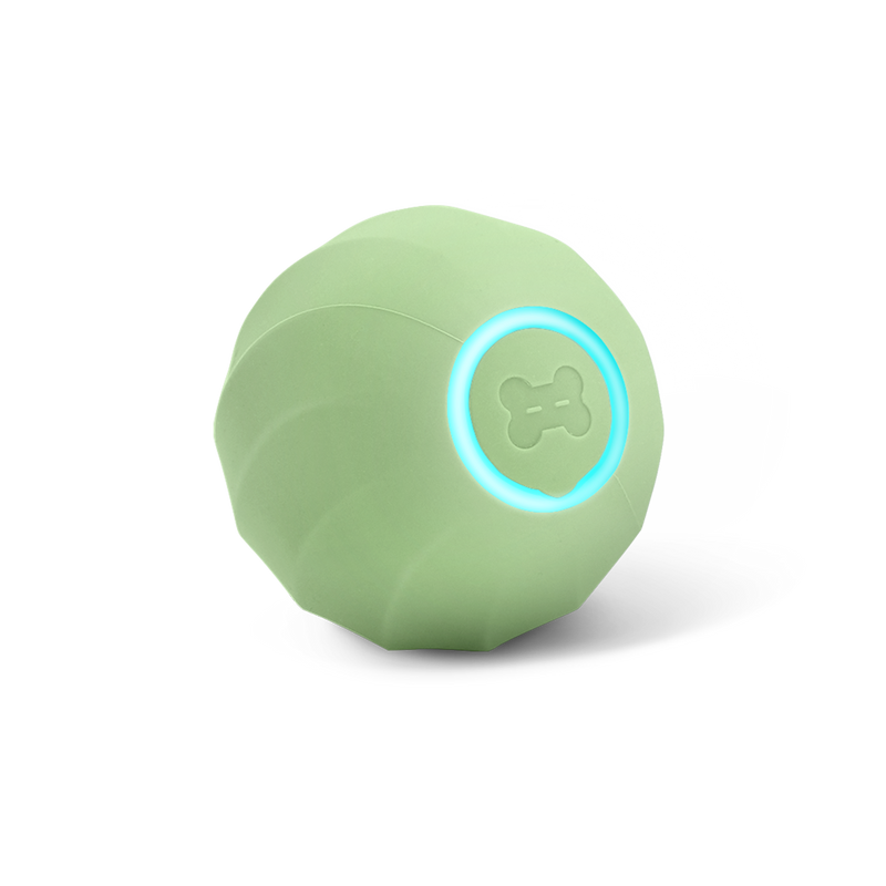 Ice Cream Cat Ball Toy | Fun Playtime