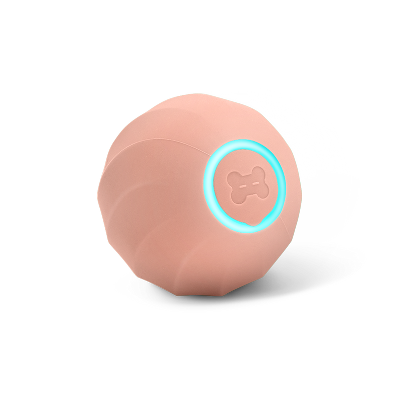 Ice Cream Cat Ball Toy | Fun Playtime