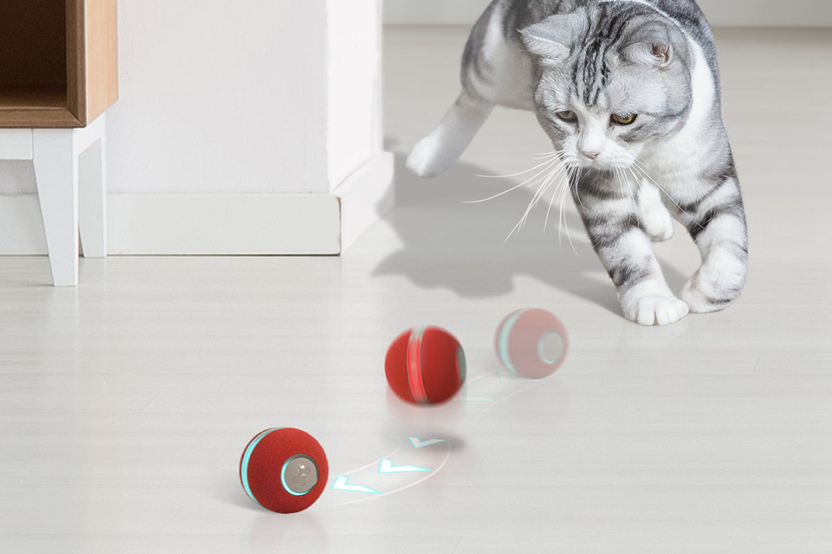 Interactive Smart Ball for Cats — Techoutlet