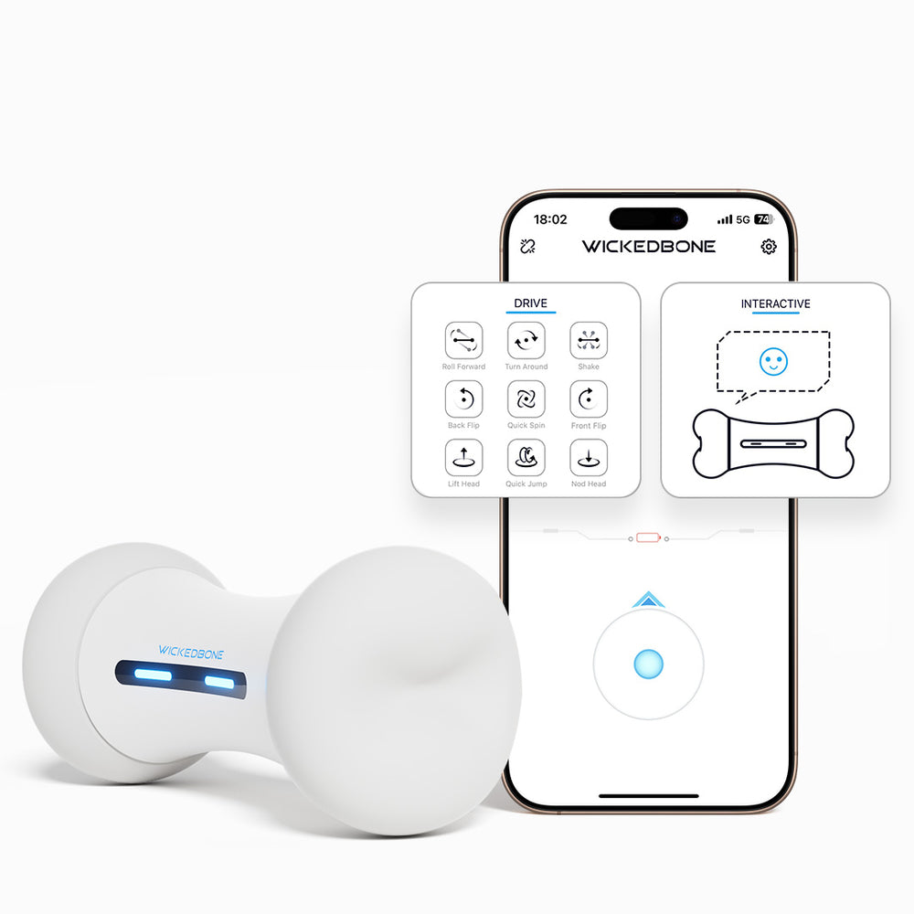 WickedBone | Cheerble - Smart Interactive Bone for Dogs