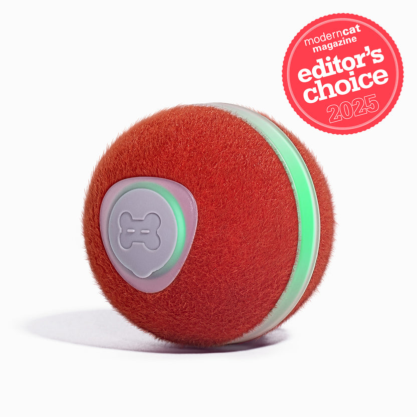 Wicked Ball Air: Smart Dog Toy | Interactive Play