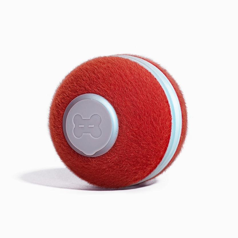 Smart Dog Toys | Cheerble - Interactive Play for Happy Pets