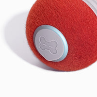 Cheerble Ball | Cheerble - Interactive Smart Ball for Cats