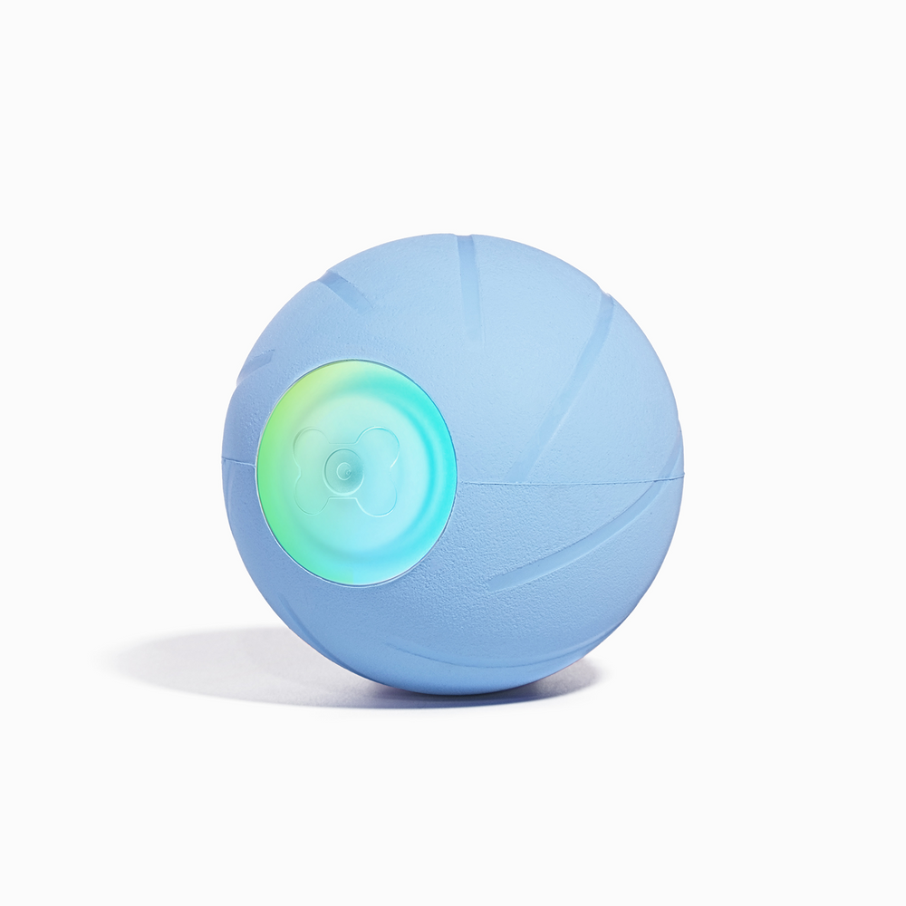 Wicked Ball SE: Smart Dog Toy | Playtime Fun