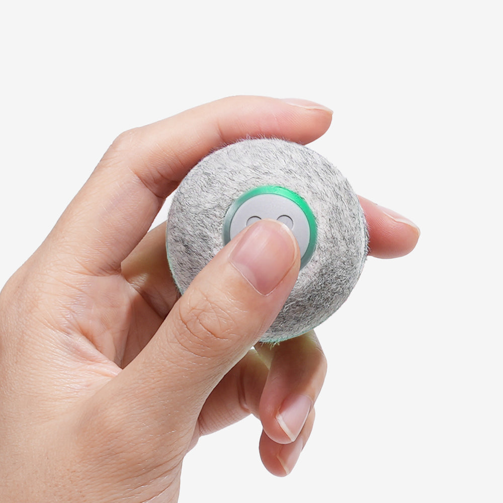 Cheerble Ball | Cheerble - Interactive Smart Ball for Cats
