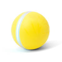 Wicked Ball: 100% Automatic & Interactive Ball for Your Pets