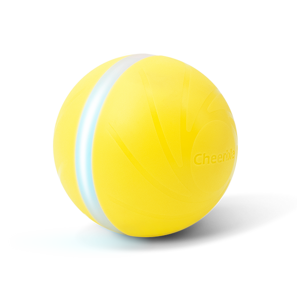 Wicked Ball: 100% Automatic & Interactive Ball for Your Pets