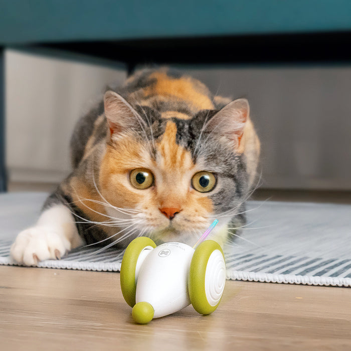 Wicked Mouse PLUS | Cheerble - Enhanced Interactive Toy for Cats