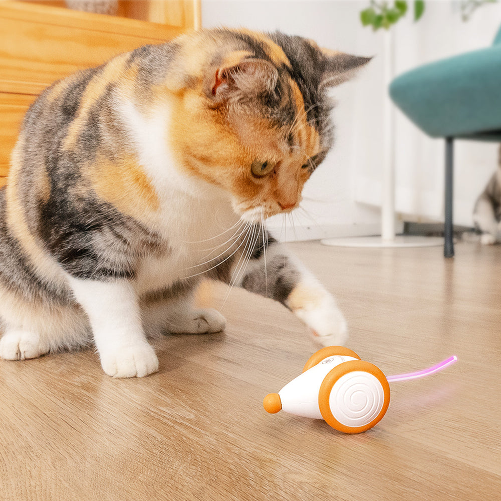 Wicked Mouse | Cheerble - Interactive Smart Toy for Cats