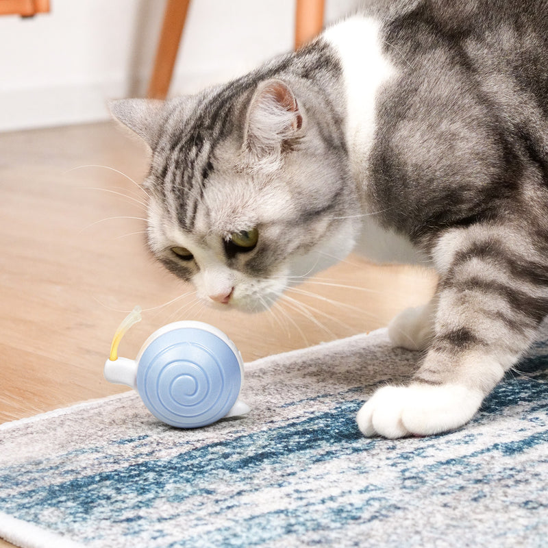 Wicked Snail | Cheerble - Interactive Smart Toy for Cats