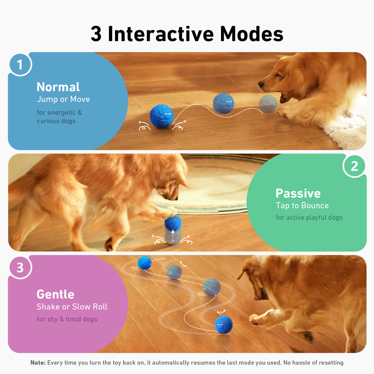 Wicked Ball Air | Cheerble - Innovative Play for Active Dogs