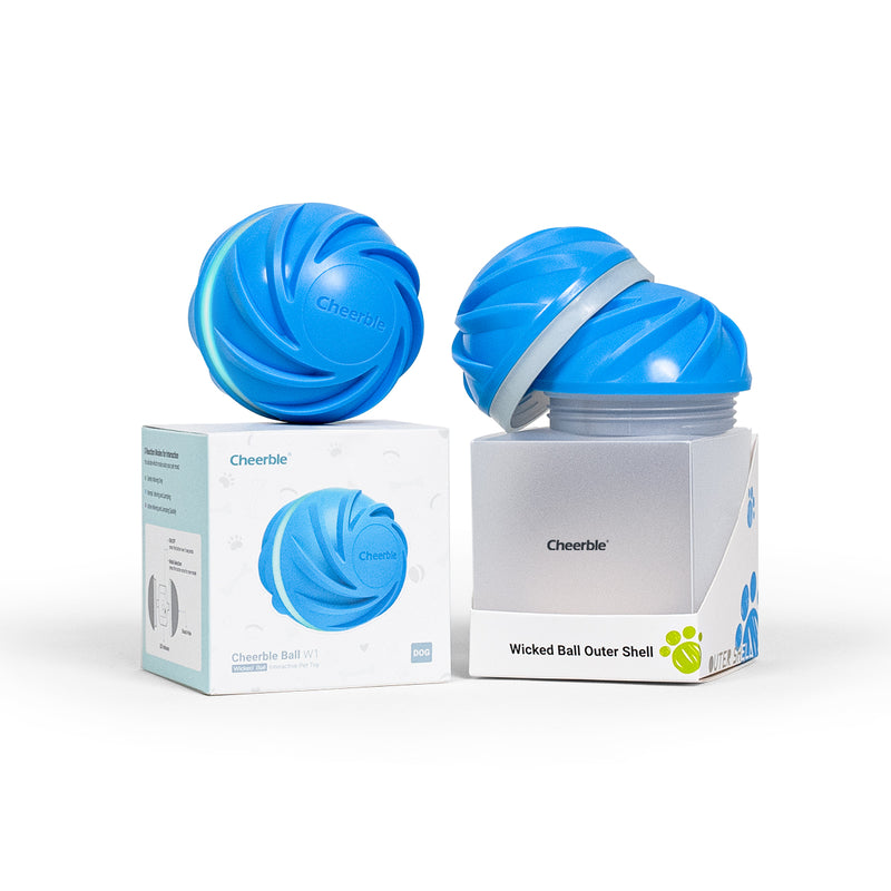 Wicked Ball Bundle | Interactive Cat Toy | Playtime