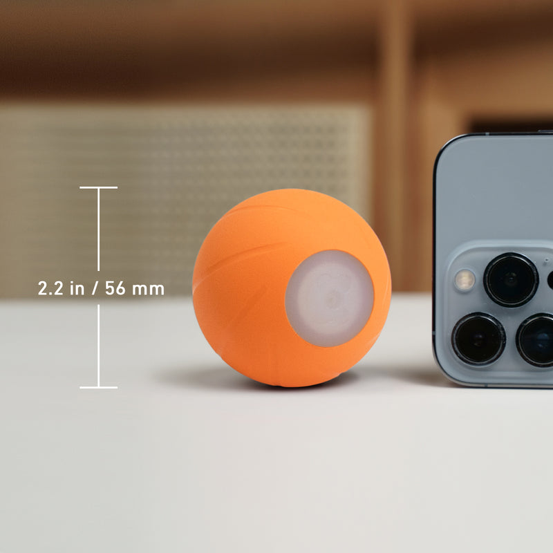 Wicked Ball SE | Cheerble - Smart Interactive Toy for Small Dogs