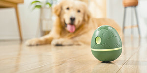 Wicked Egg: 100% Automatic Interactive Treat-Dispensing Pet Toy