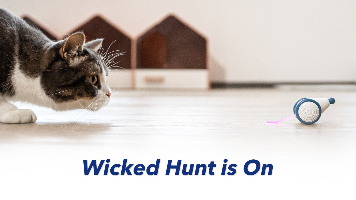 Wicked Mouse: New Smart Bionic Mouse Interactive Cat Toy
