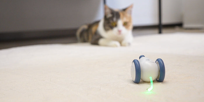 Wicked Mouse: New Smart Bionic Mouse Interactive Cat Toy