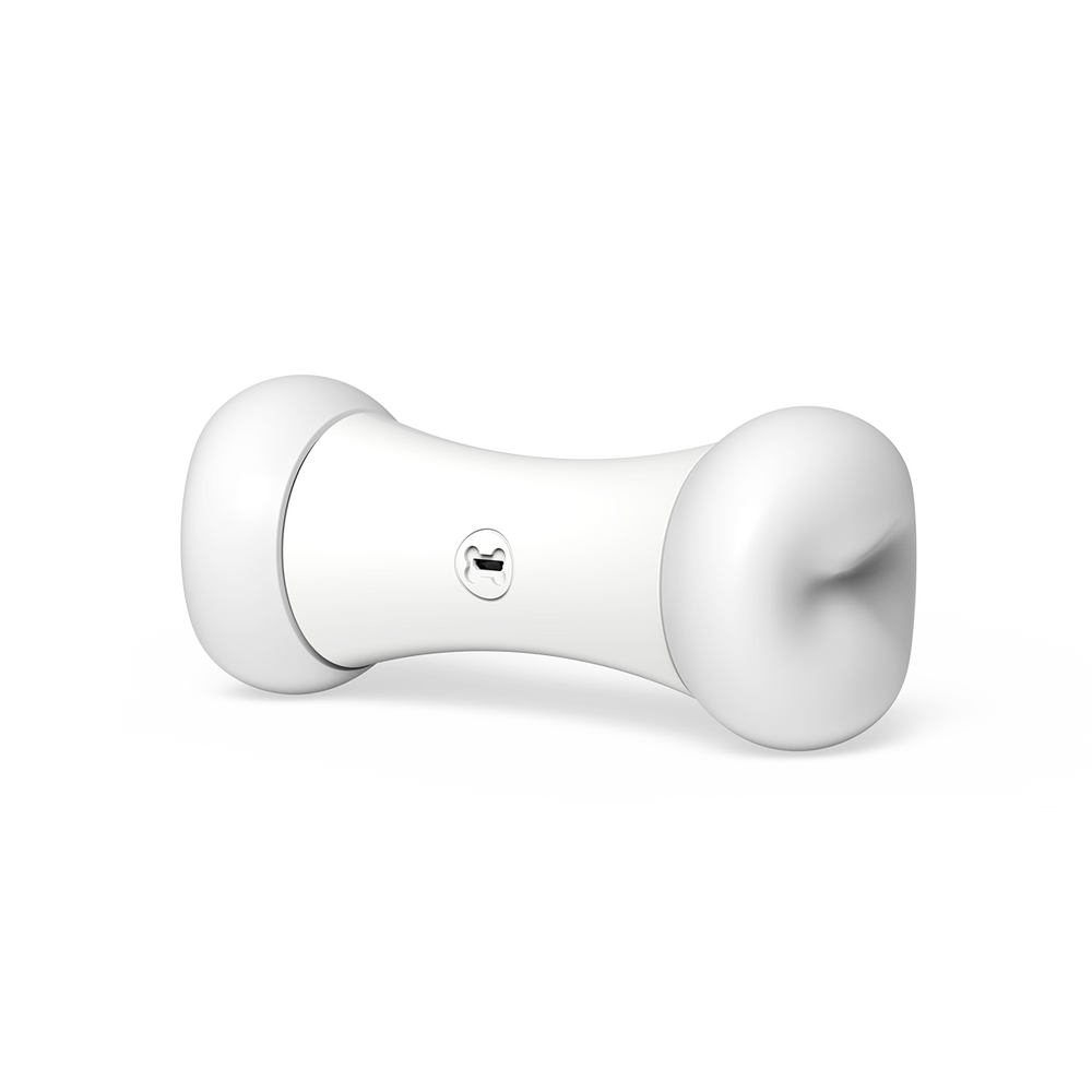 WickedBone | Cheerble - Smart Interactive Bone for Dogs