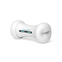 WickedBone | Cheerble - Smart Interactive Bone for Dogs