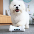 WickedBone | Cheerble - Smart Interactive Bone for Dogs