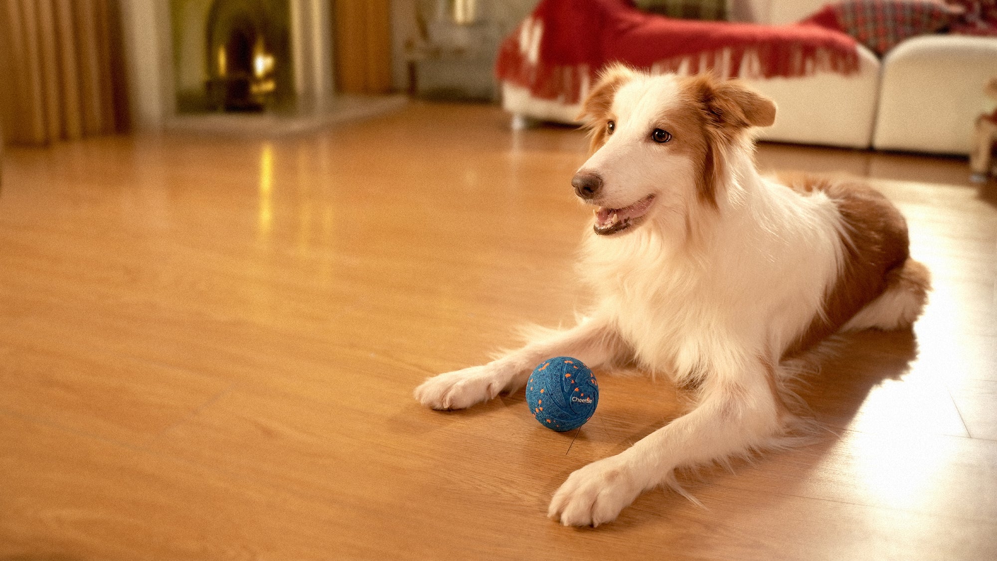Cheerble - Innovative Pet Products