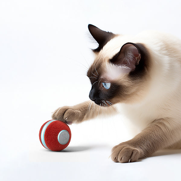 Cheerble - Innovative Pet Products