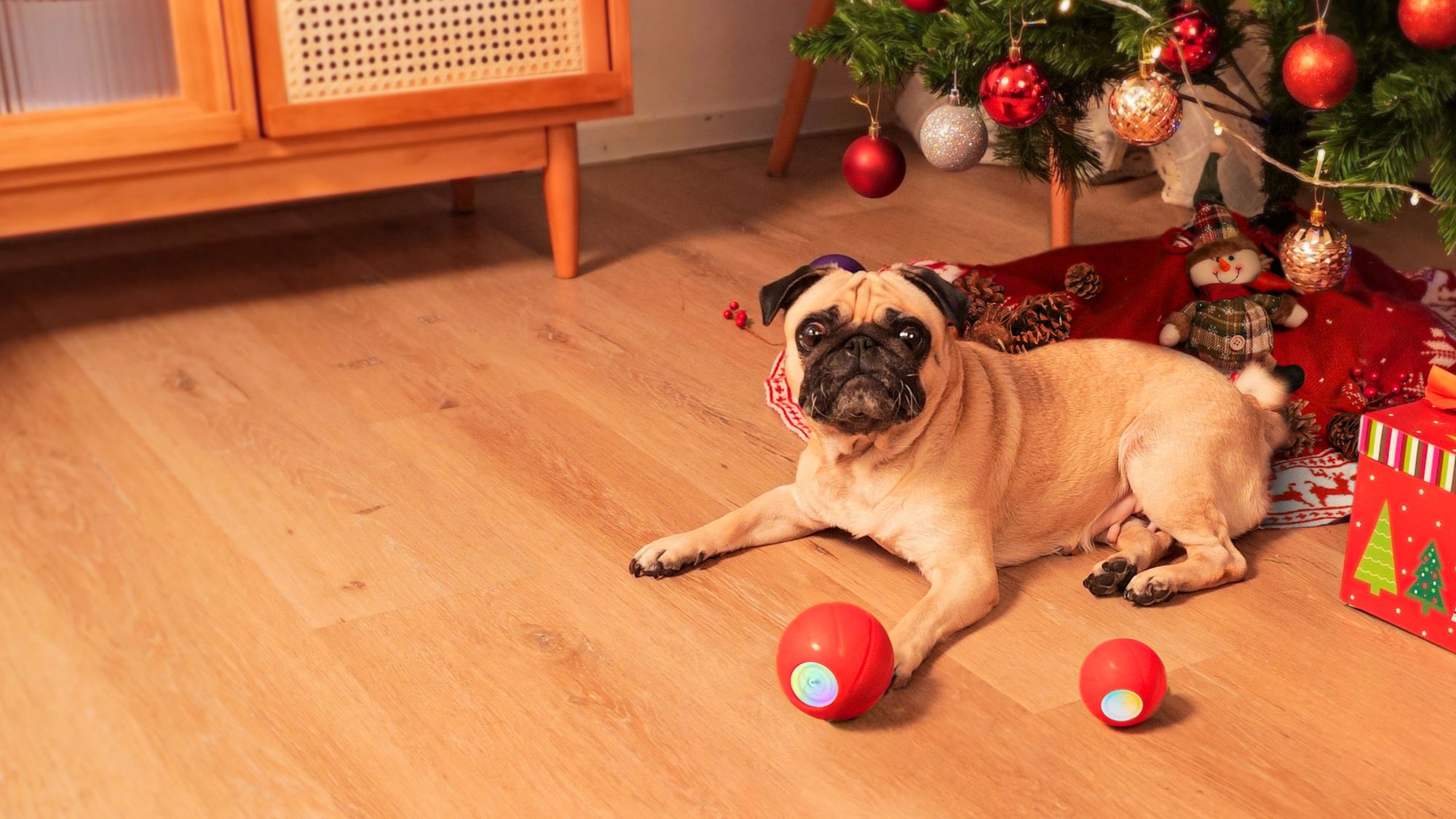 Cheerble - Innovative Pet Products