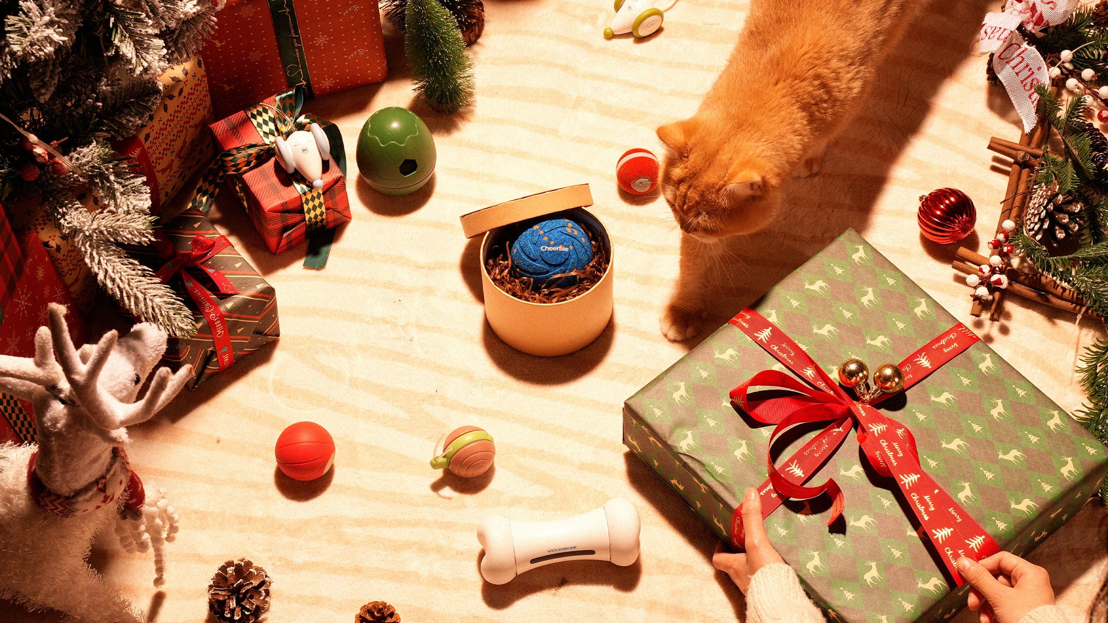 Cheerble - Innovative Pet Products